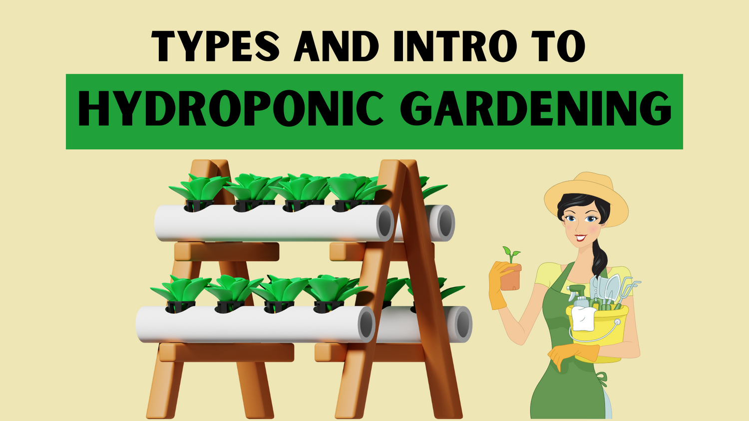 What is Hydroponics and How it can Change the Future of Gardening ...